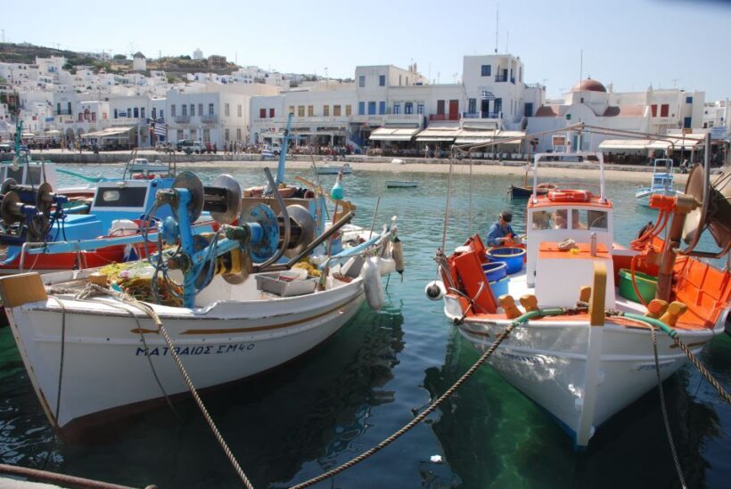 Mykonos Shore Excursion: City & Island Tour - Who Would Enjoy This Tour?