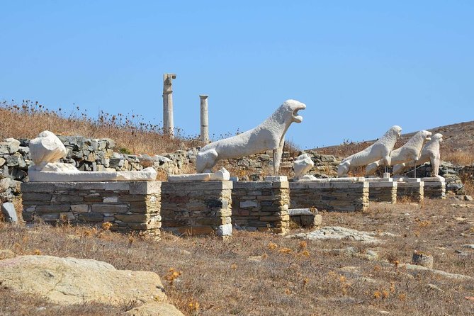 Mykonos Shore Excursion: Private Tour to Delos Island - Who Is This Tour Perfect For?