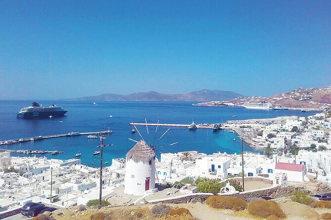 Mykonos Shore Excursion with Pickup from Cruise Ship Terminal - The Ideal Traveler for This Tour