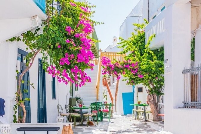 Mykonos tour: Private highlights Tour with a Local - Analyzing the value