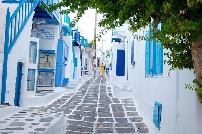 Mykonos Town and Island Half-Day Tour - Transportation and Meeting Details