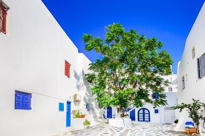 Mykonos Town and Island Half-Day Tour - Exploring Mykonos Town