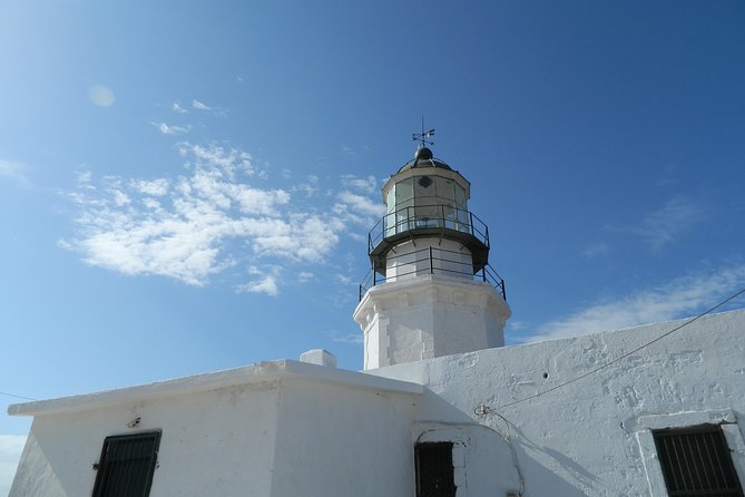 Mykonos Wild Experience Tour - Customer Feedback and Ratings