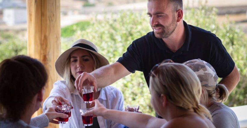 Mykonos: Winery Vineyard Experience with Food & Wine Tasting - The Sum Up: Who Will Love This Experience?