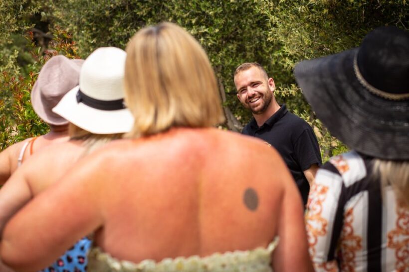 Mykonos: Winery Vineyard Experience with Food & Wine Tasting - Frequently Asked Questions
