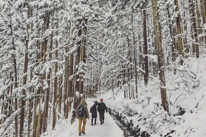 Myoko and Madarao Day Tour Snow Monkeys, Zenkoji and Sake - The Itinerary: What You Can Expect