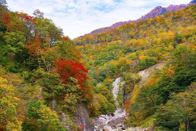 Myoko and Madarao Day Tour Snow Monkeys, Zenkoji and Sake - FAQs