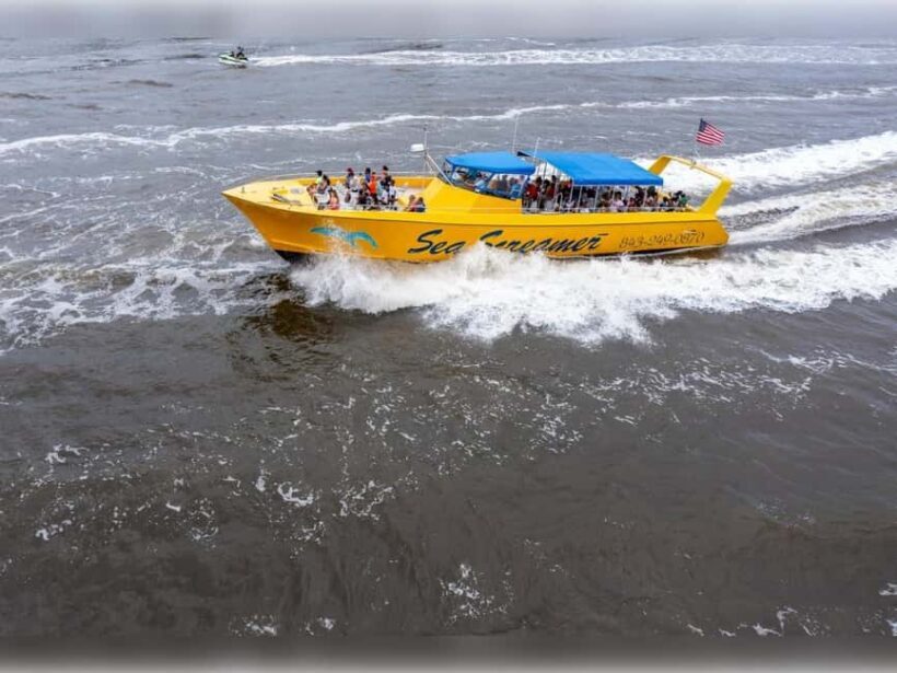 Myrtle Beach: Dolphin Cruise on the Sea Screamer - Key Points