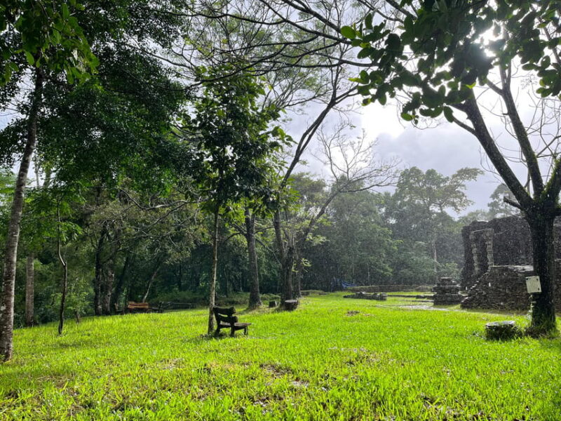 MySon Holyland - Rice Paper Making Deluxe Tour from Danang - The Sum Up