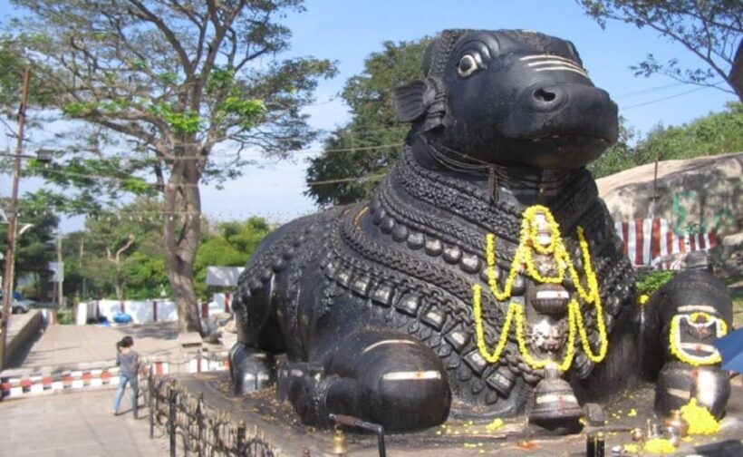 Mysore: Private Full-Day Sightseeing Tour of the City - Why Choose a Private Guided Tour in Mysore?