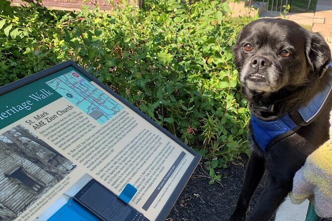 Mysteries on the Move: Scavenger Hunt in Boston - FAQs