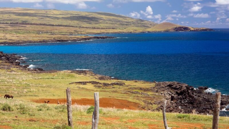 Mystery of the Poike:Walk through the most unknown Rapa Nui - Itinerary Breakdown: What to Expect at Each Stop