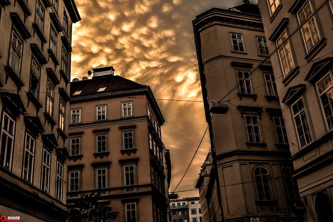 Mystery Rally Vienna: the Scary City - Accessibility and Participation Details