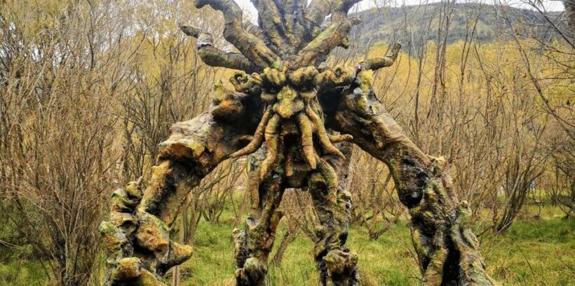 Mystic Cusco | Huasao, Valley of the Goblins, Morada | - An In-Depth Look at the Tour