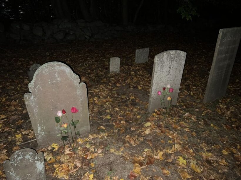 Mystic: Guided Graveyard Ghost Tour by Moonlight - Final Thoughts: Who Will Love This?