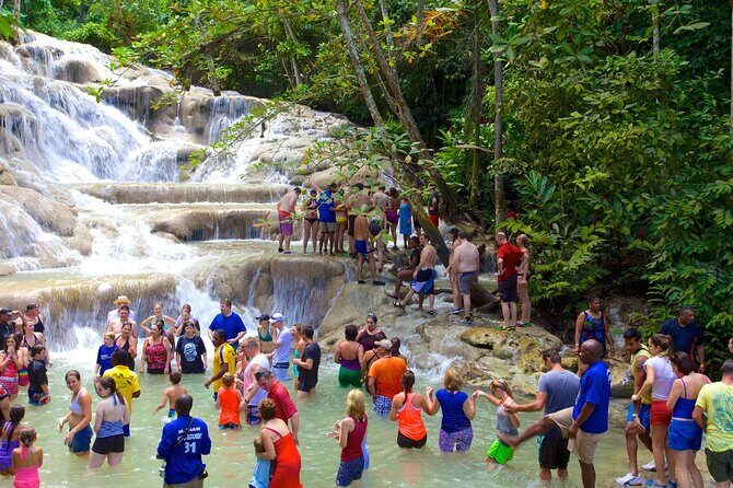 Mystic Mountain & Dunn's River Fall OchoRios from Grand Palladium - Who Will Love This Tour?