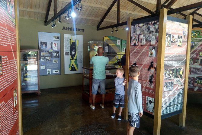 Mystic Mountain Jamaica Bobsled Tour (Mystic Silver) from Falmouth - Analyzing the Experience: What You Can Expect