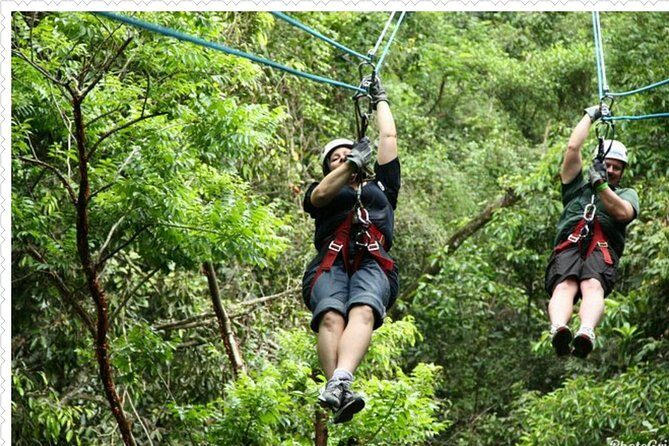 Mystic Mountain Tour from Montego Bay - What You Can Expect at Mystic Mountain