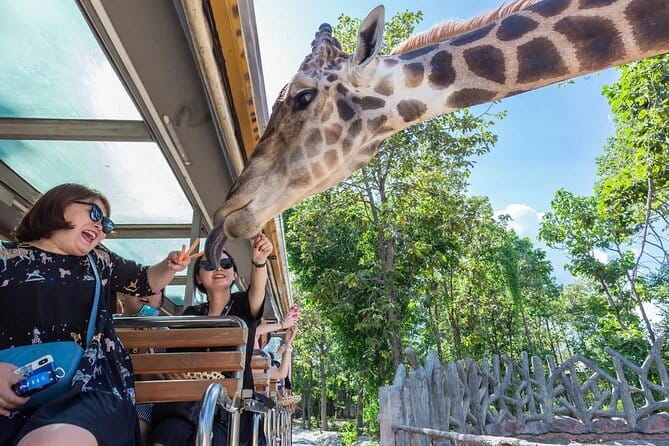 Mystic Universe Exhibition - Who Should Consider This Tour?