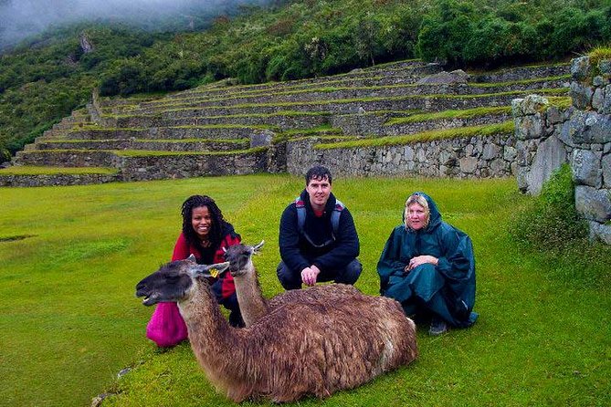 Mystical Journey: 2-Day Private Adventure to Machu Picchu - Customer Experiences