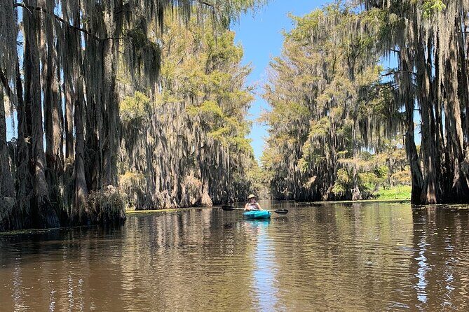 Mystical Private Kayak and Canoe Tours on Caddo Lake - Overview of the Caddo Lake Kayak and Canoe Experience
