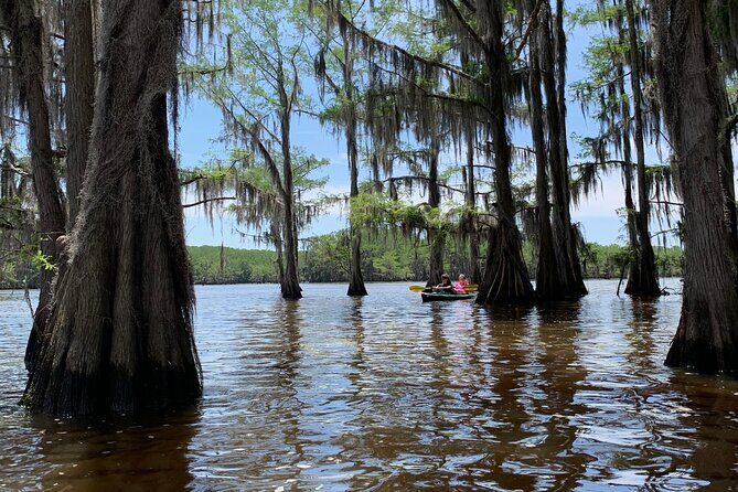 Mystical Private Kayak and Canoe Tours on Caddo Lake - The Benefits of a Private Tour