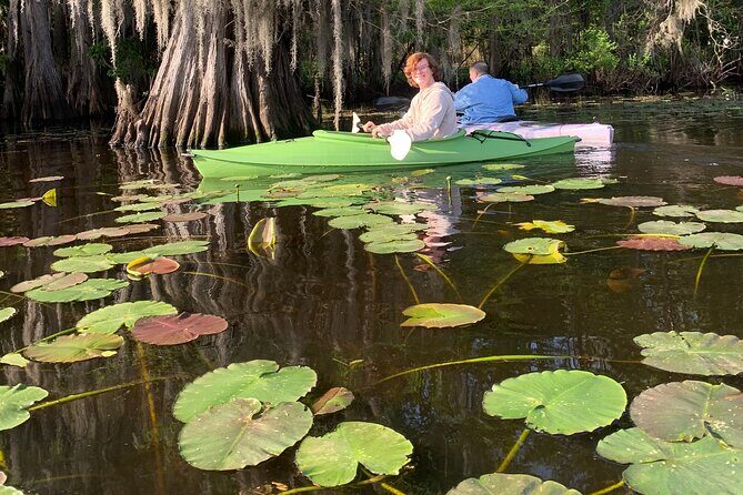 Mystical Private Kayak and Canoe Tours on Caddo Lake - Value and Pricing: Is it Worth it?
