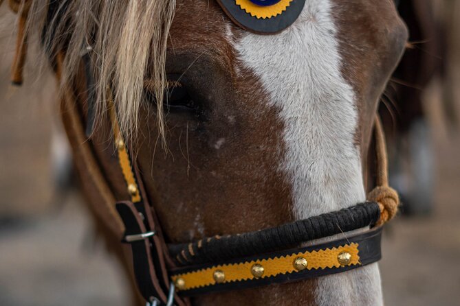 Mystical Sunset Horseback Ride in Meteora: 1-Hour Adventure - Who Is This Tour Best Suited For?