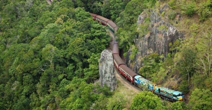 N. Queensland: Kuranda Rainforest Full-Day Tour - Key Points
