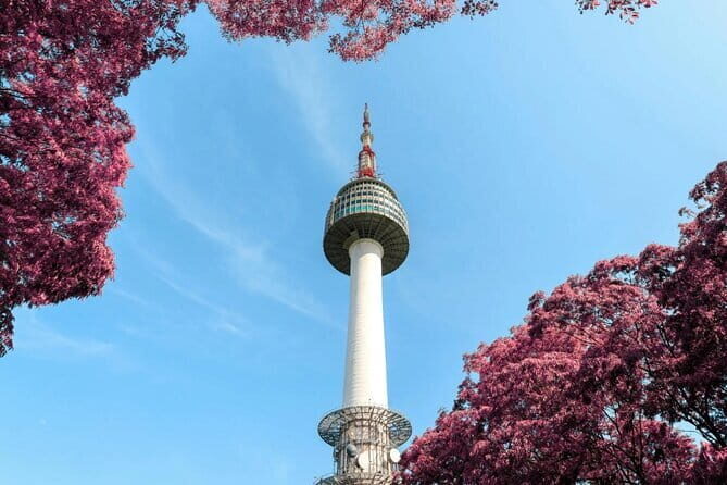 N Seoul Tower Observatory Ticket and N Burger Set - Who Will Love This Tour?