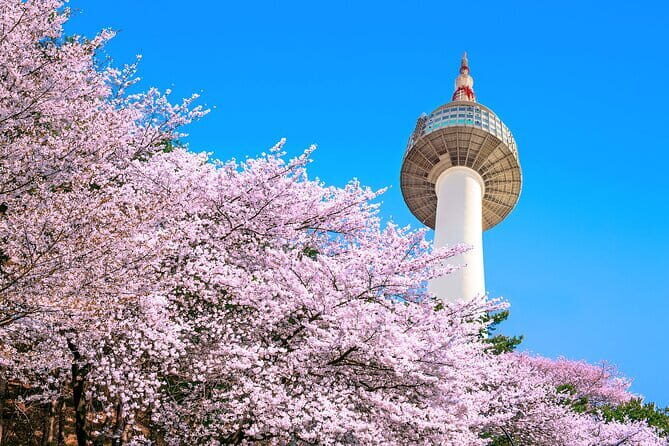 N Seoul Tower Observatory Ticket South Korea - Key Points