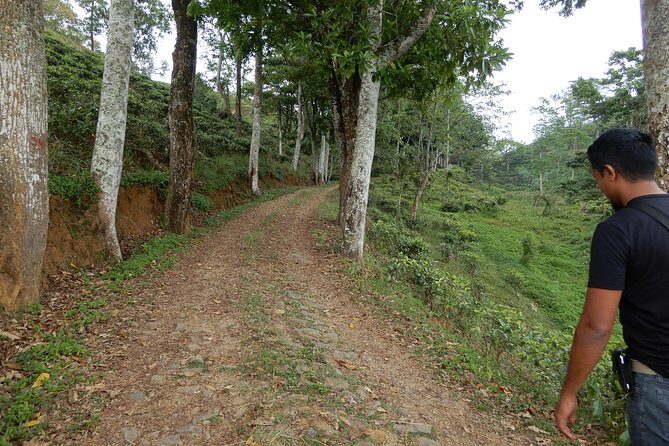 N trekkers Matale - Practical Details for Planning Your Trek