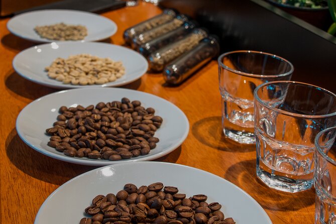 N1 Coffee Tasting Experience in Buenos Aires - Tasting and Learning Components