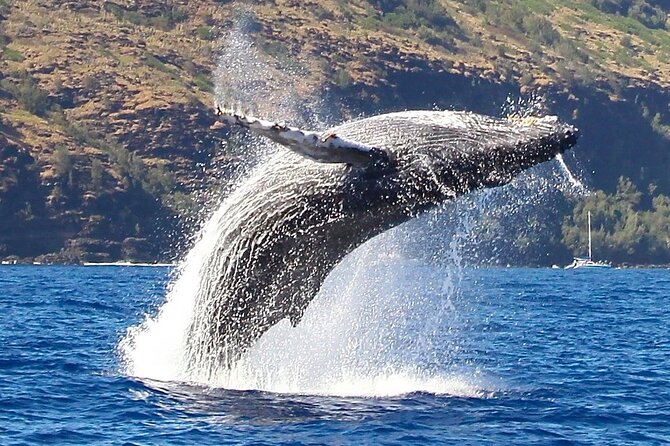 Nā Pali Coast Zodiac Raft Expedition and Snorkeling on Kauai - FAQ