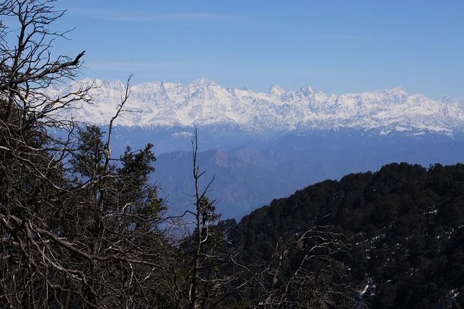 Naag Tibba Trek - Concluding Thoughts