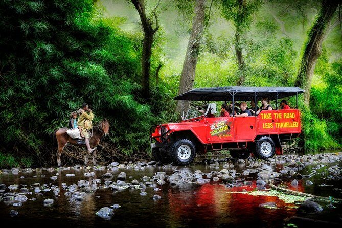 Nadi Airport to Naviti Resort - Private Vehicle Transfer - The Sum Up