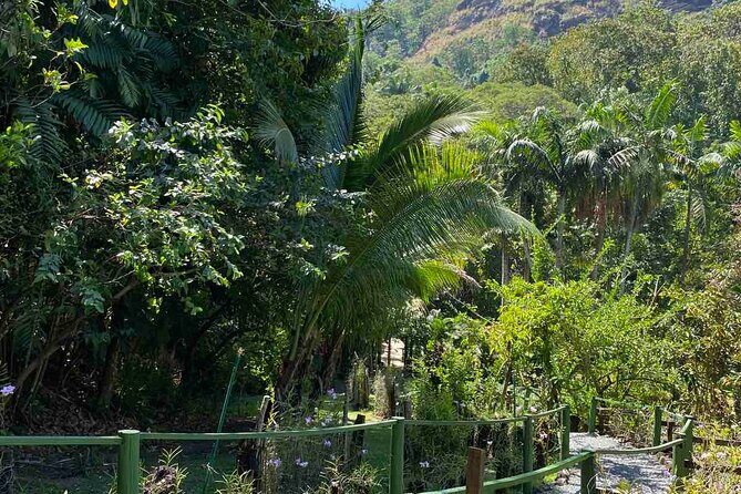 Nadi Fiji Historical Half Day Tour - Key Points