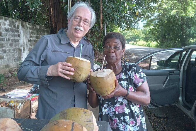 Nadi Fiji Historical Half Day Tour - Who It’s Best For