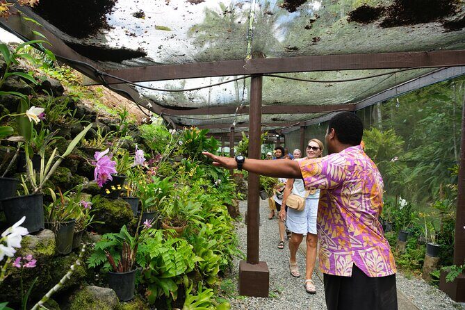 Nadi Heritage Tour - What’s Included and What’s Not