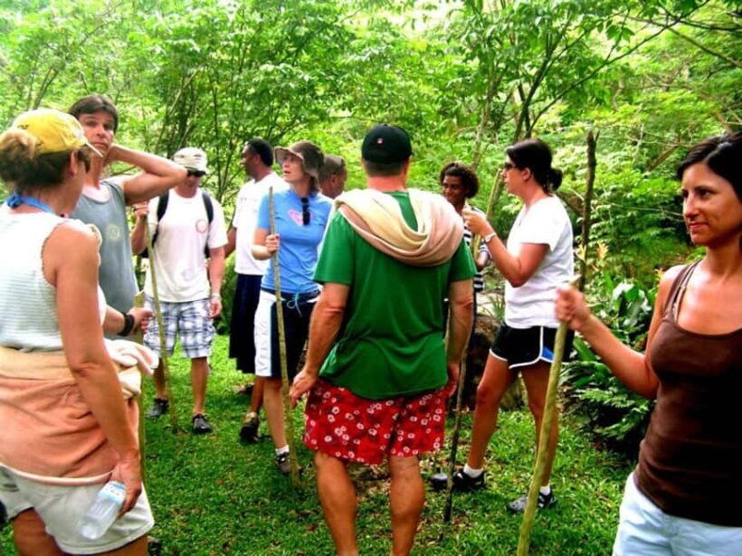 NADI: Nalesutale Village Half Day Tour - Key Points