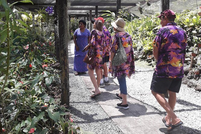 Nadi Sightseeing Including Viseisei Lookout, Village Tour, Garden & Temple Tour - Key Points