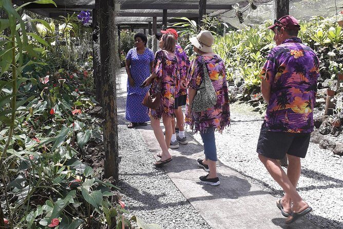 Nadi Sightseeing & Mud Pool Tour - An In-Depth Look at the Itinerary