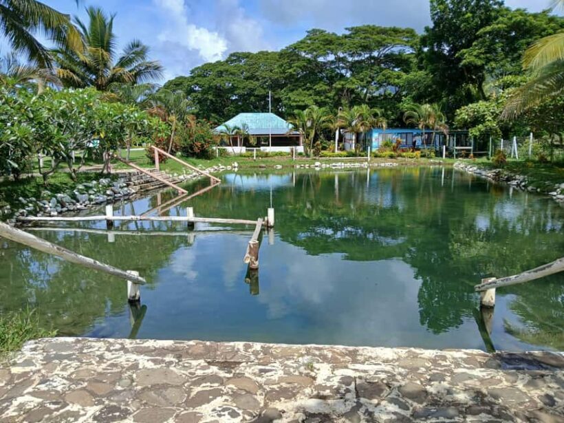 NADI: Tifajek Mud Pool and Hot Spring Natural Spa Tour - The Sum Up