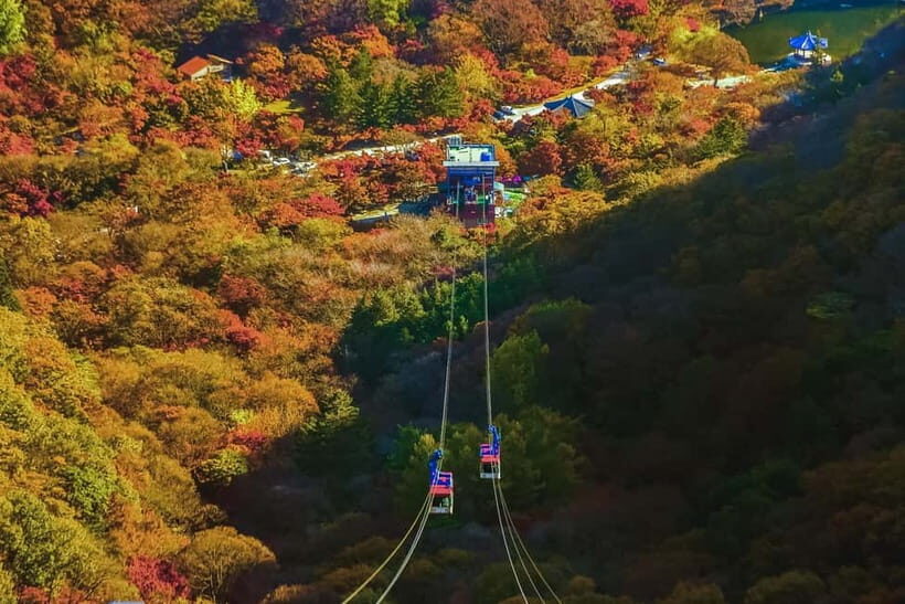 Naejangsan: Highlight of a Korean Autumn Day Trip from Busan - Key Points