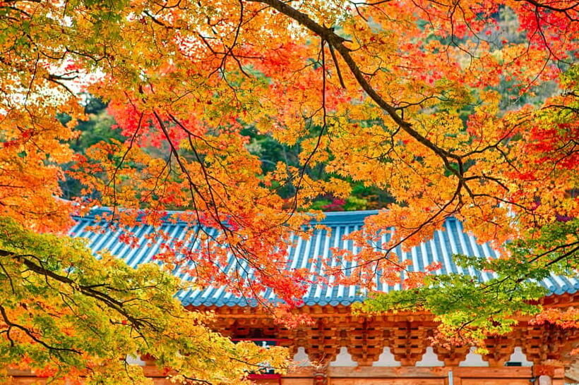 Naejangsan: Highlight of a Korean Autumn Day Trip from Busan - Exploring Naejangsan’s Charm