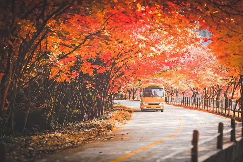 Naejangsan: Highlight of a Korean Autumn Day Trip from Seoul - Key Points