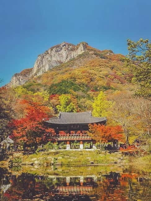 Naejangsan: Highlight of a Korean Autumn Day Trip from Seoul - The Sum Up