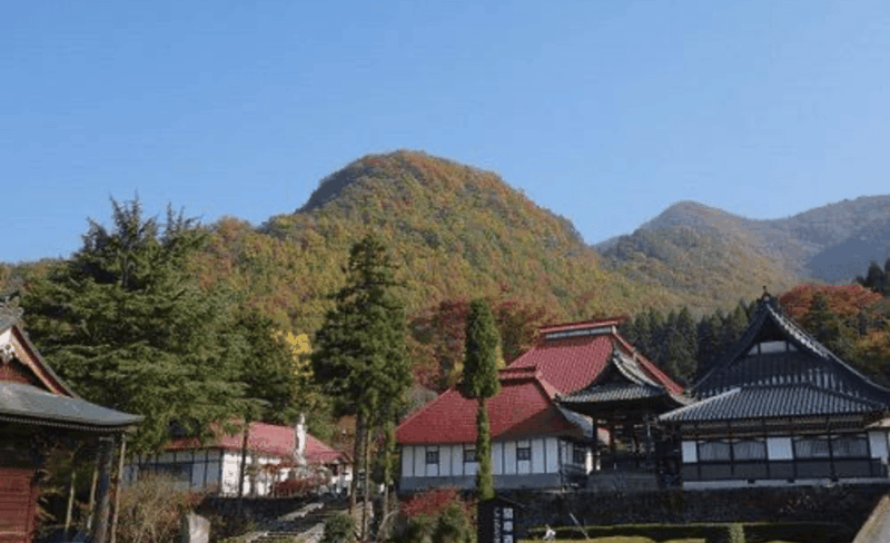 Nagano Full Day Private Tour: Zenkoji Temple, by Car - Shibu Onsen and Obuse Town