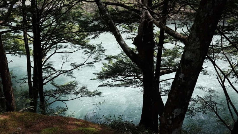 Nagano / Matsumoto / Takayama: Kamikochi Private Tour - Final Thoughts
