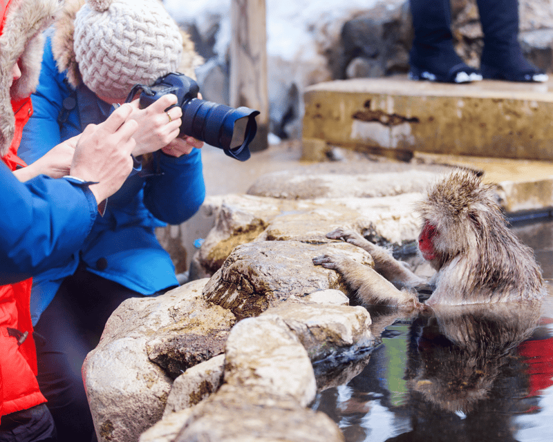 Nagano/Myoko: Jigokudani Snow Monkey Park With Private Car - Itinerary Example
